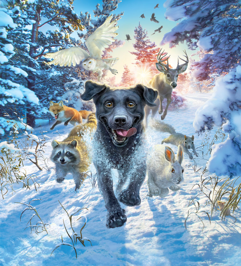 Black Lab in the Snow - Rapp|Art