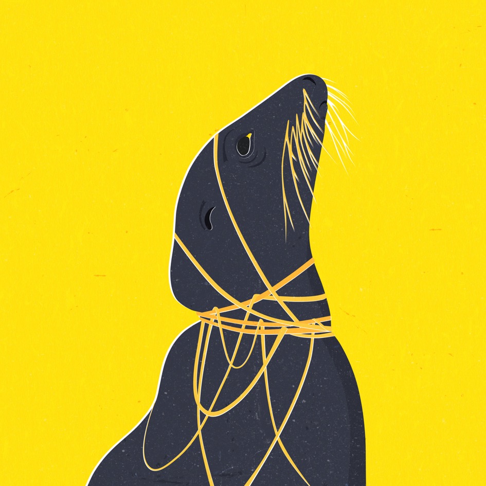 16. Seal web - Rapp|Art
