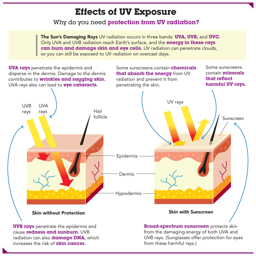 Charts & Infographics - Rapp|Art