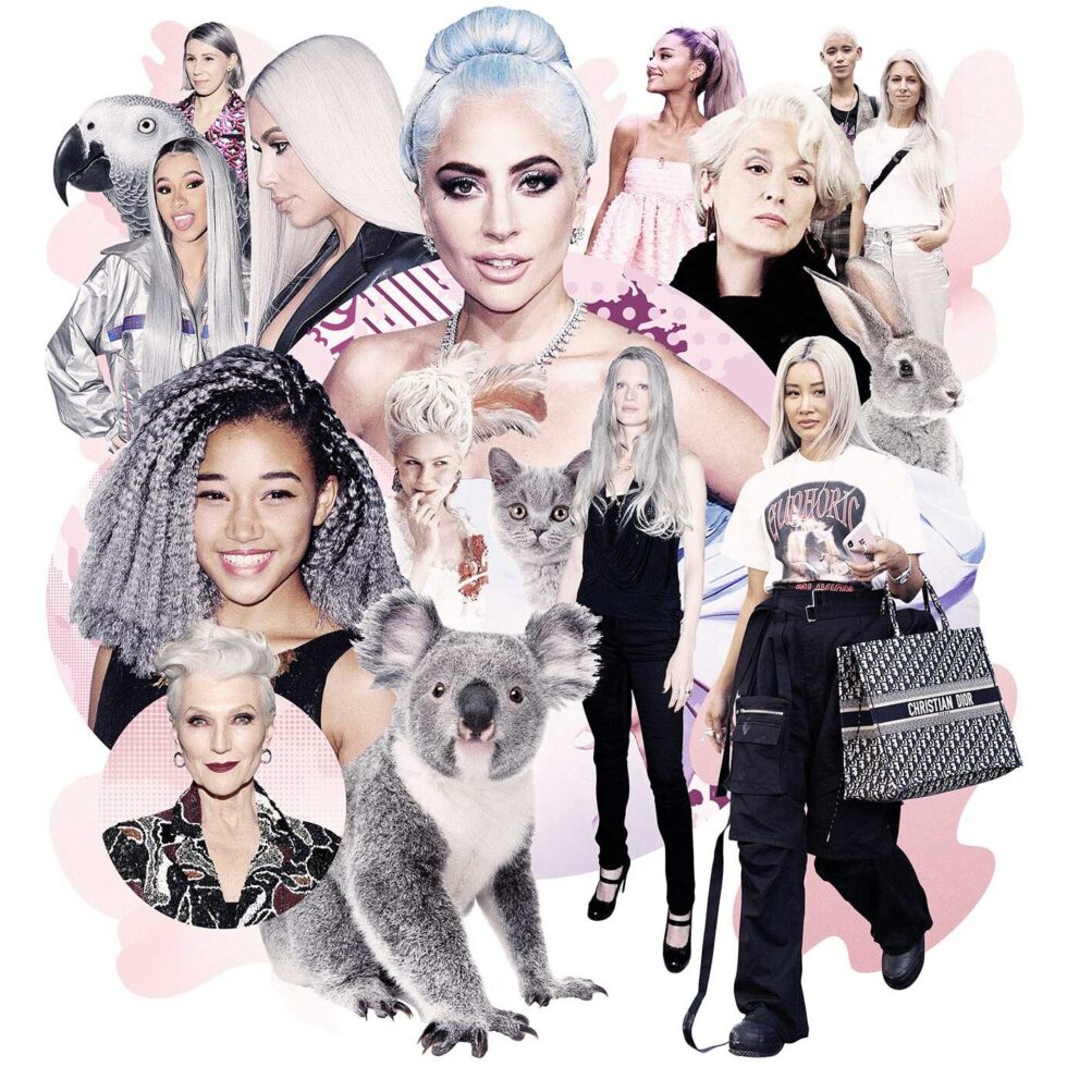 Sean McCabe - Rapp|Art