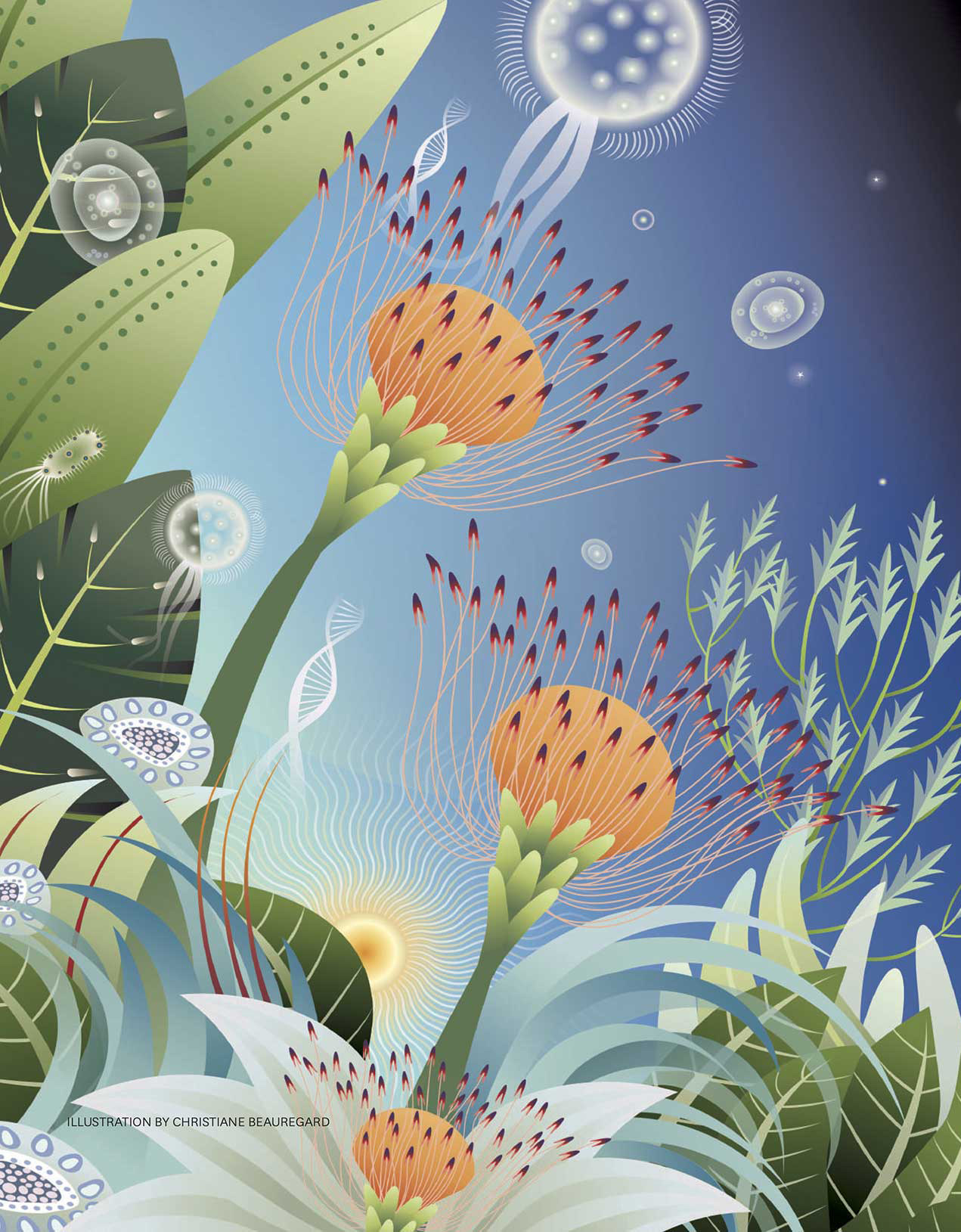 Best of 2025: University - Rapp|Art